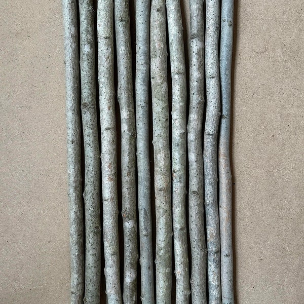 Decorative Branches - Etsy