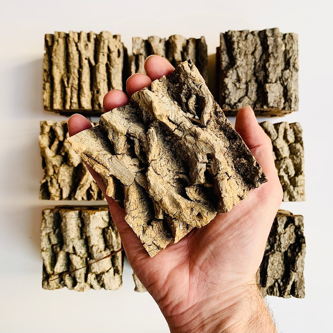 25 Tree Bark Squares / Elm / Size: 3.5 X 3.5 25-piece - Etsy