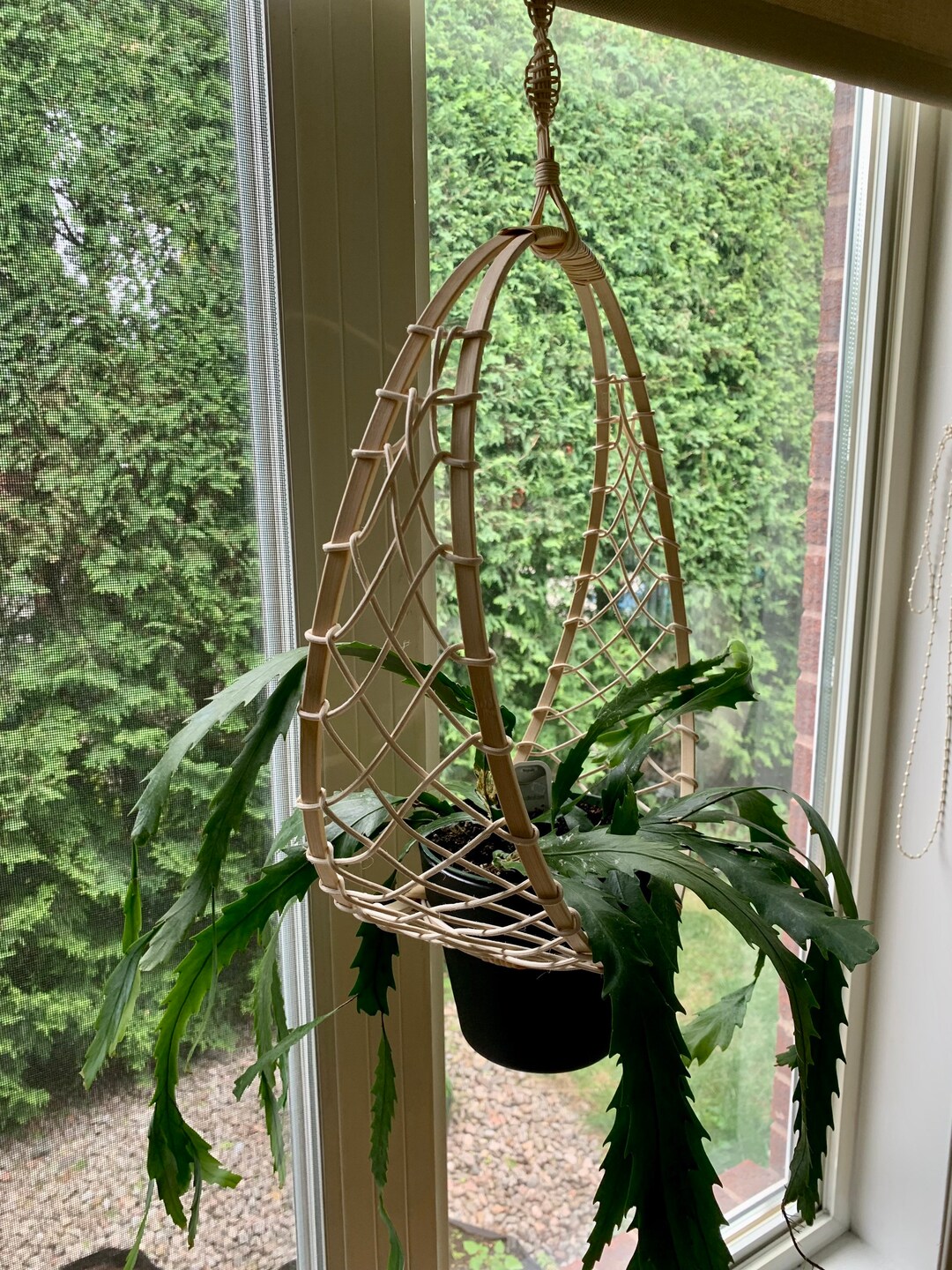 Hanging Planter in Round Rattan and Bamboo, Handmade, Plant Suspension ...