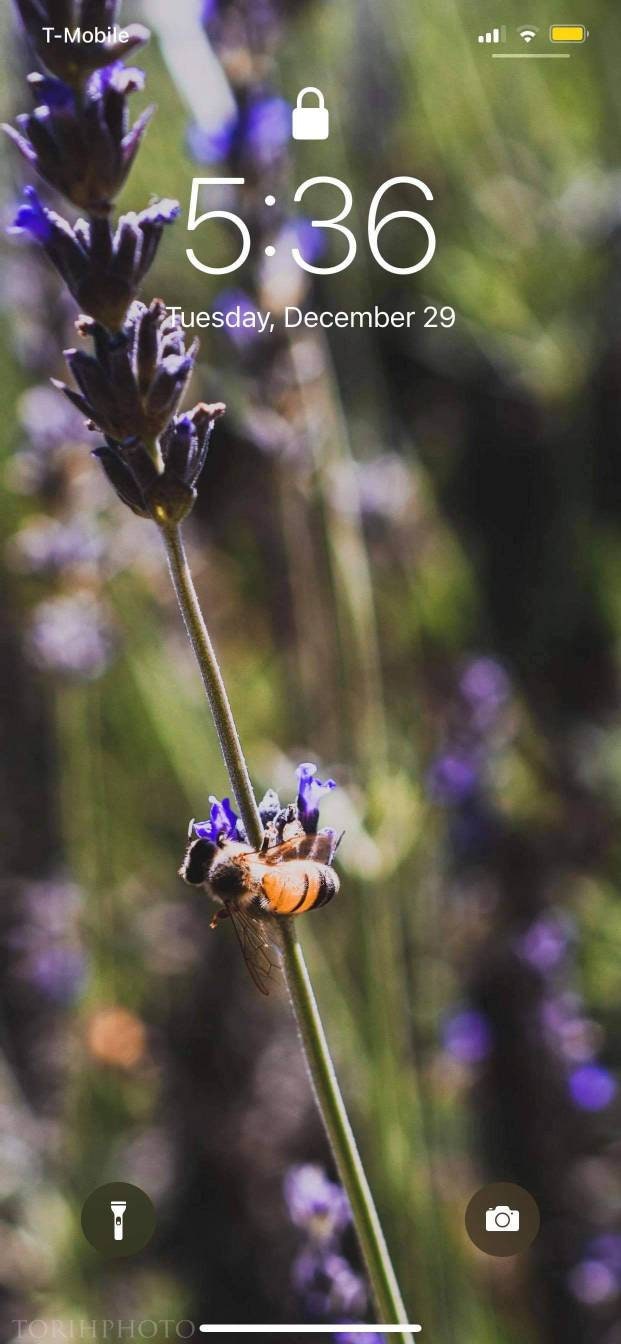 Lavendar Bee Lockscreen/homescreen Digital Download - Etsy