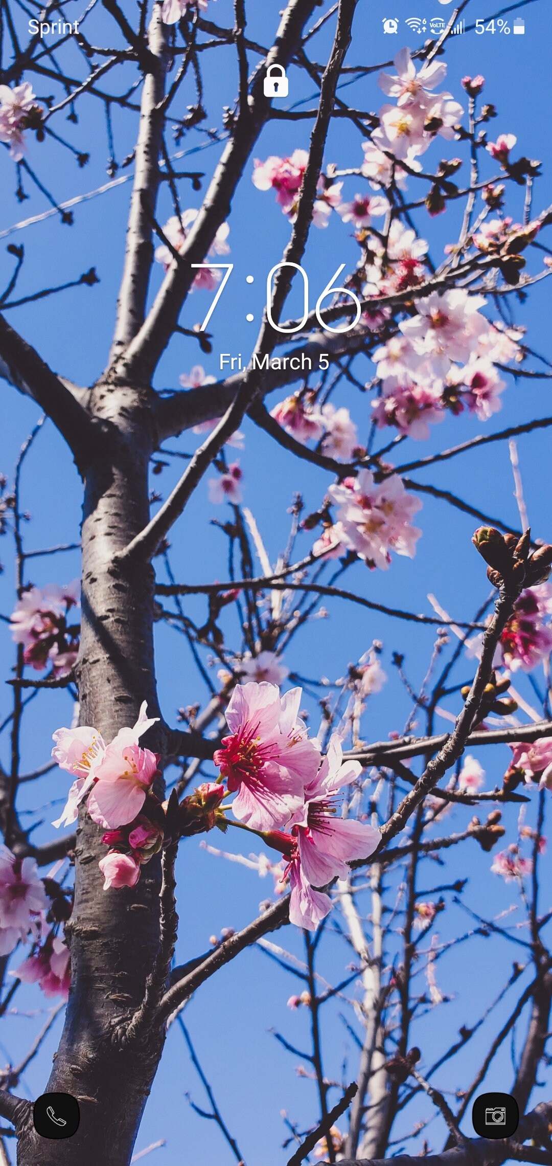 Spring Bloom Lockscreen/homescreen Digital Download - Etsy