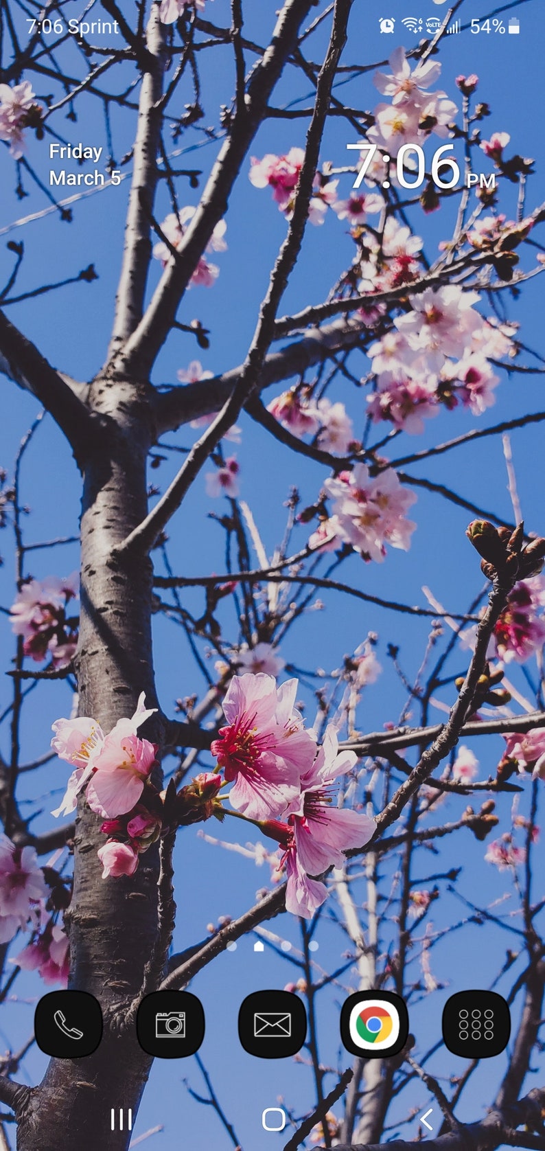 Spring Bloom Lockscreen/homescreen Digital Download - Etsy