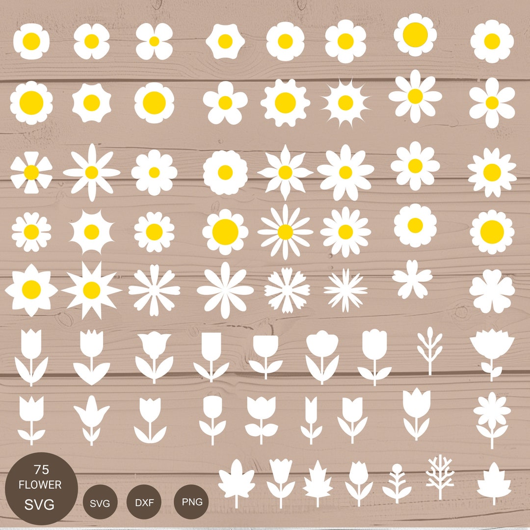 75 Flower Svg Bundle, Daisy Bundle, Daisy Flower Cut File Clipart File ...