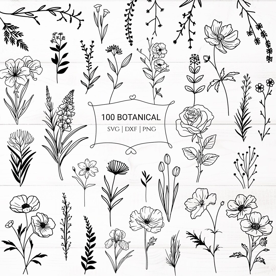 100 Botanical Svg Bundle Wildflower Cut File, Floral,flower Leaf,leaves ...