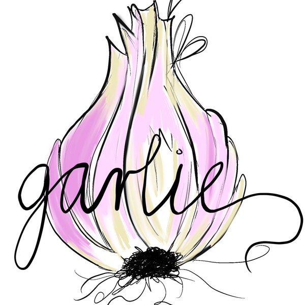 Garlic Stencil Svg - Etsy