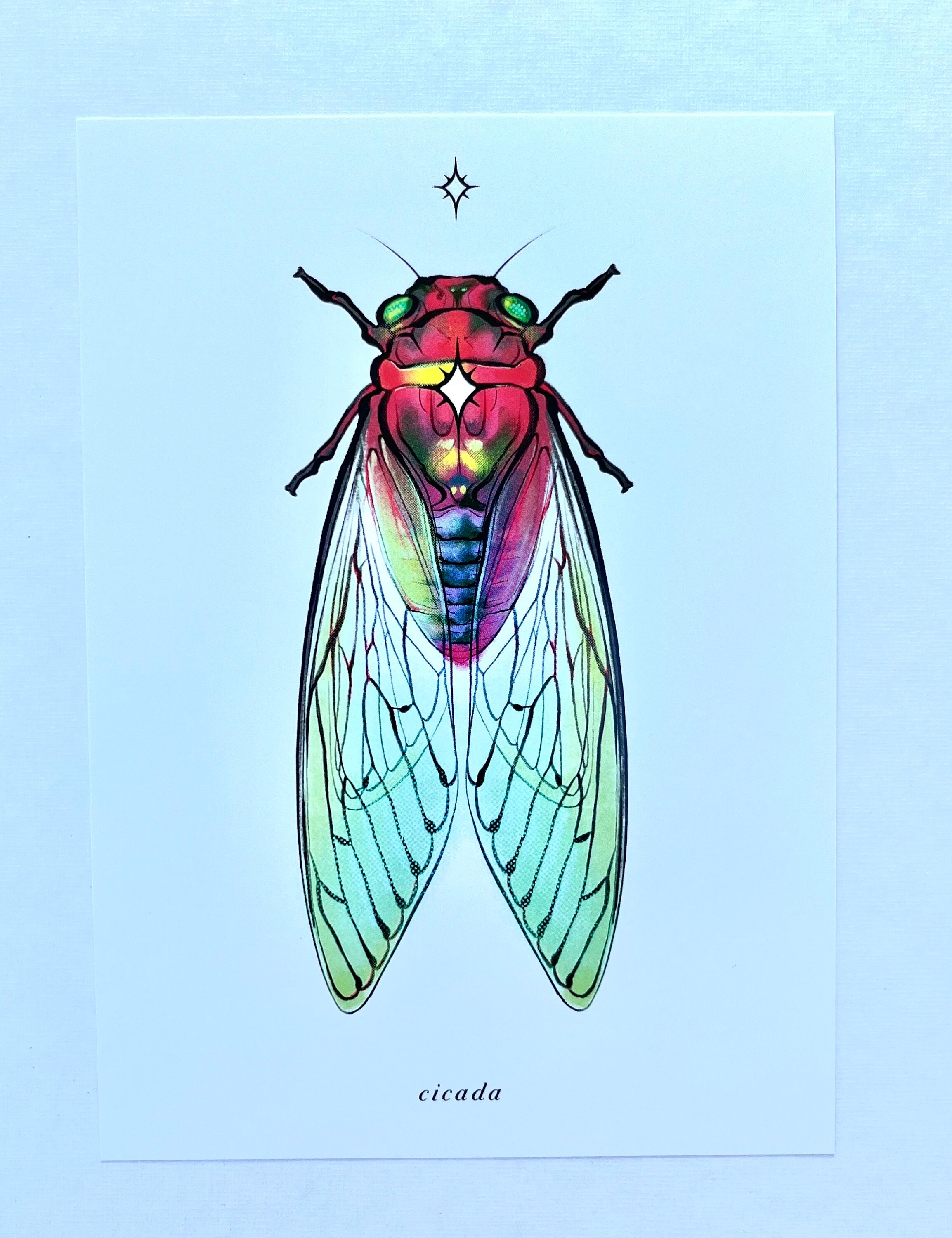 Cicada Illustration Print - Etsy