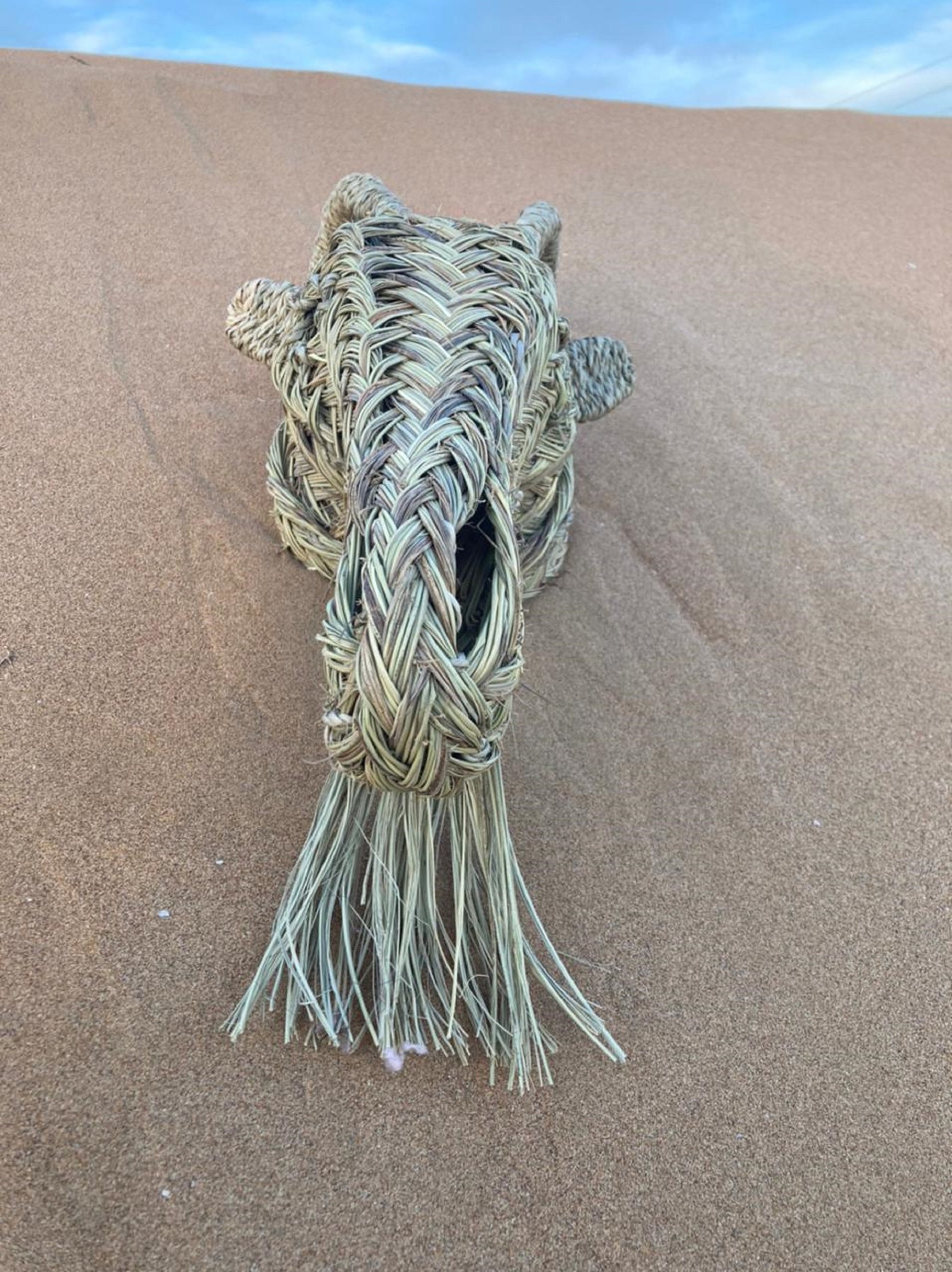 Rattan animal Head /Goat Rattan Head /Goat Head Wall | Etsy