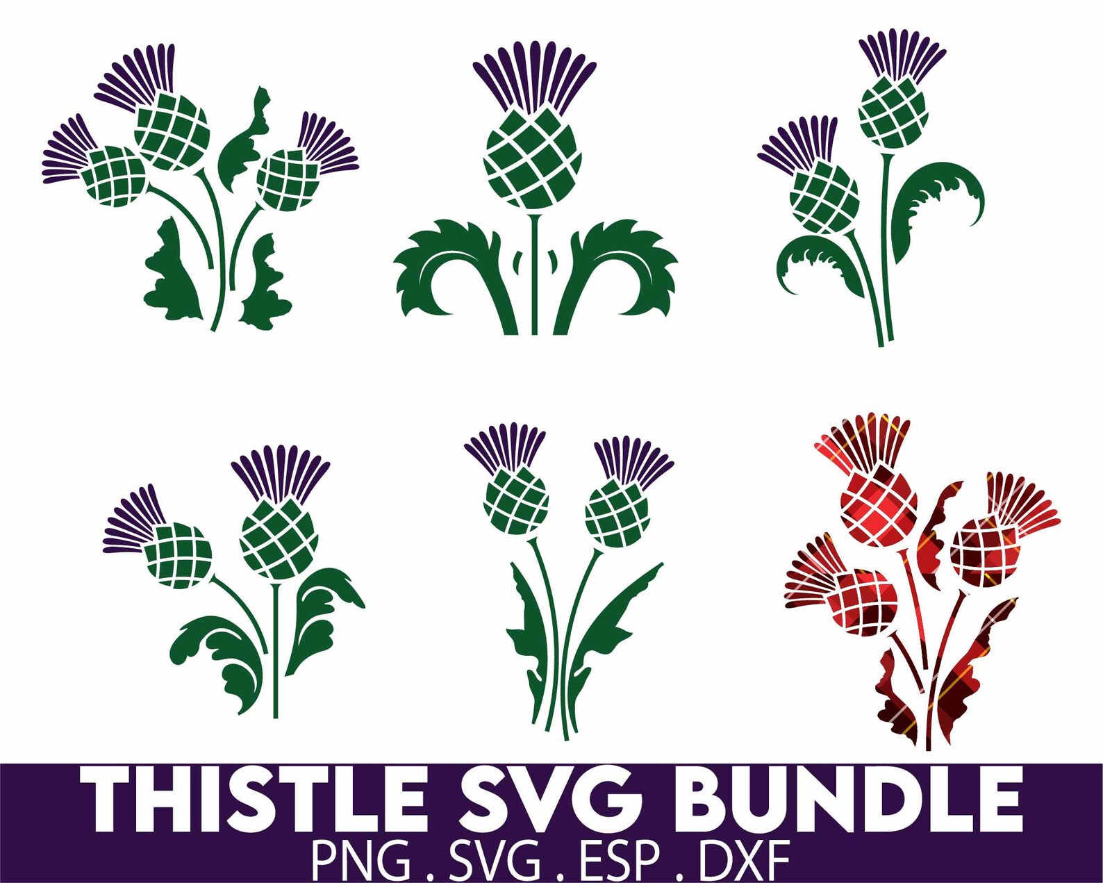 Scottish Thistle Tartan Bundle, Thistle Digital Art, Scottish Thistle ...