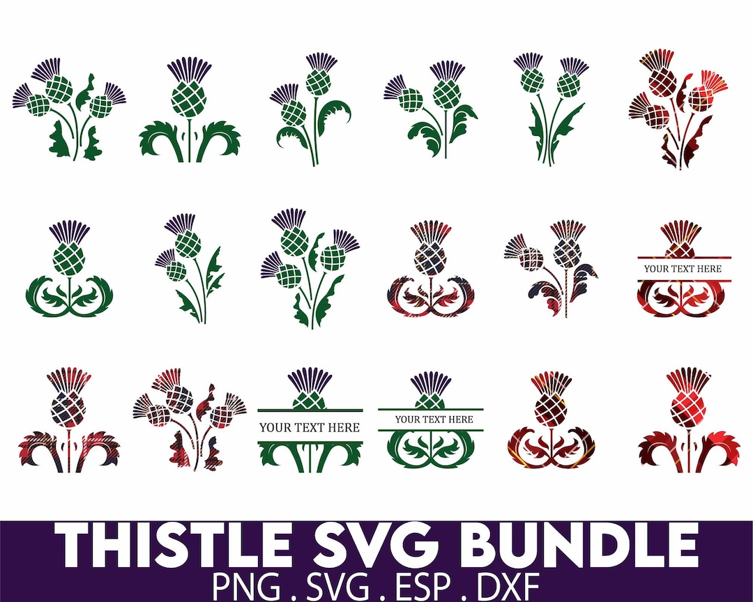 Scottish Thistle Tartan Bundle, Thistle Digital Art, Scottish Thistle ...