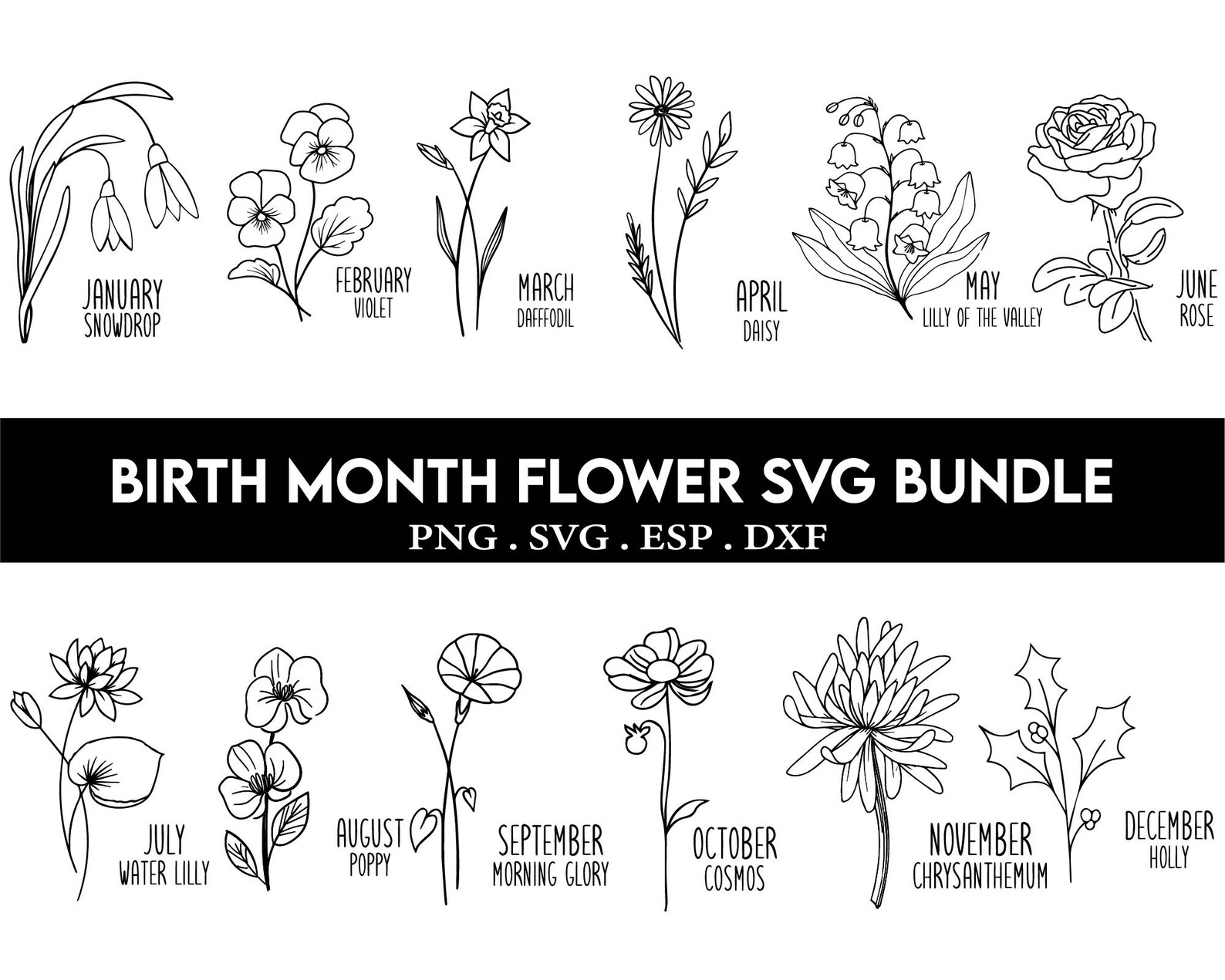 Birth Month Flower Svg Bundle, Flower Svg, Birth Flower Svg, Floral Svg ...