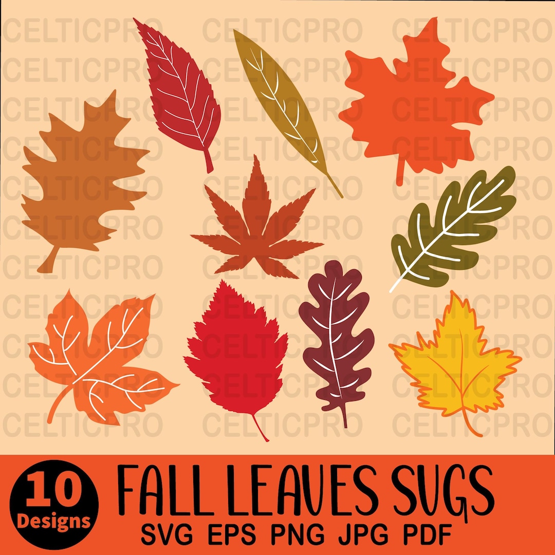 Fall Leaves Svg Bundle, Fall Svg, Autumn Leaf Svg Bundle, Fall Png ...