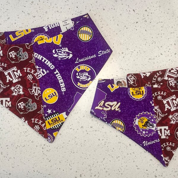 House Divided Texas - Etsy