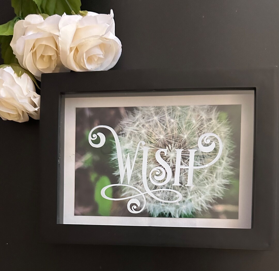 Make a WISH. This Shadowbox Frame Has My Original Photo of a Dandelion ...