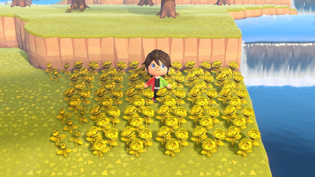 What Are Rare Flowers In Animal Crossing New Horizons at Kiara Hannell blog