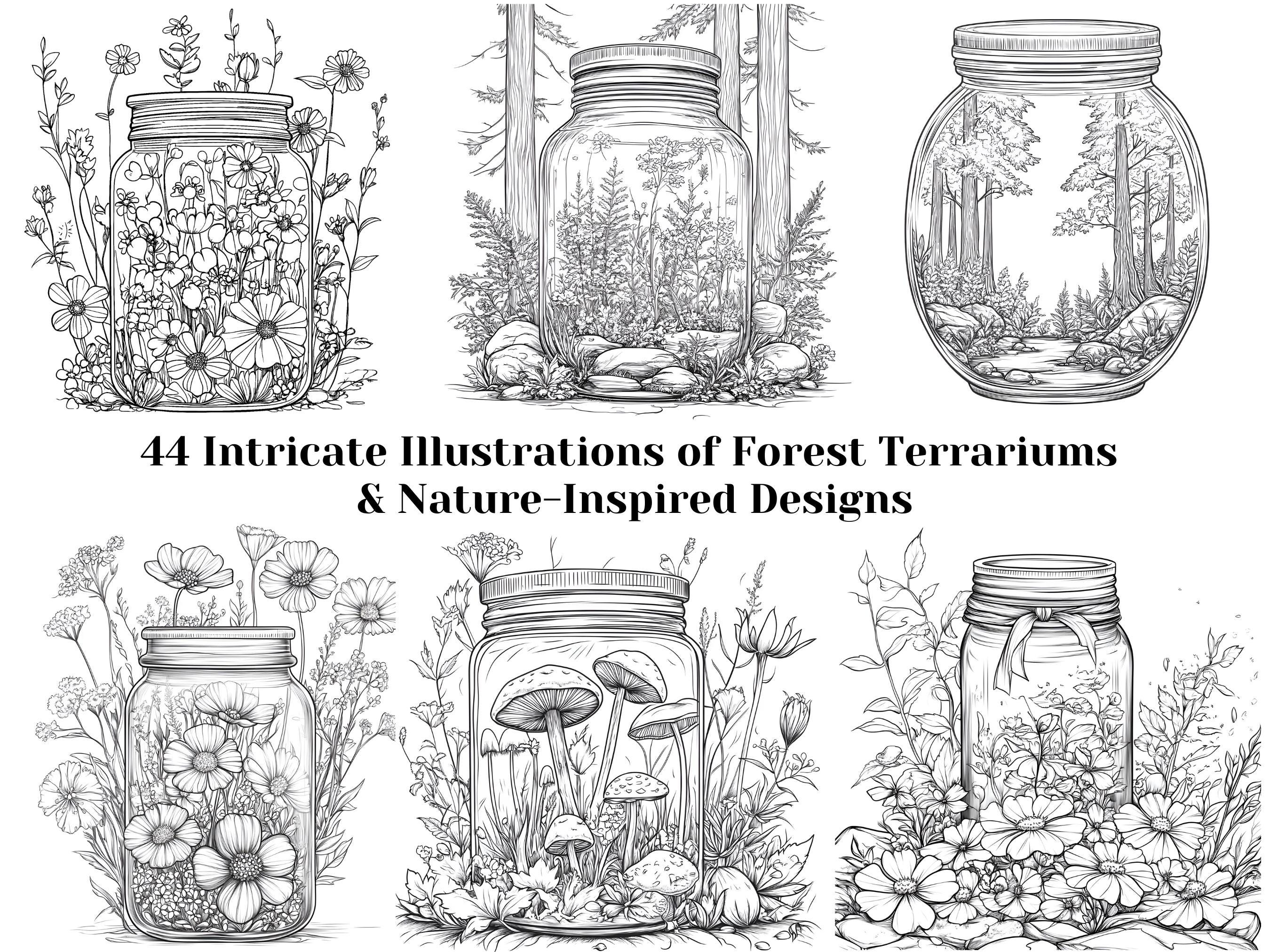 44 Forest Jar Coloring Pages, Woodland Nature Art, Printable Mason Jar ...