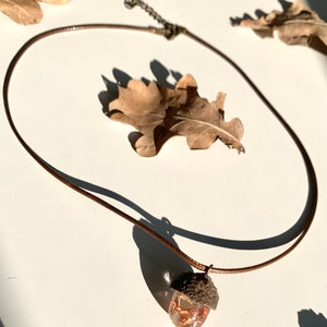 Real Oak Acorn Shell and Resin, Natural Jewelry - Etsy