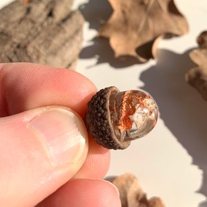 Real Oak Acorn Shell and Resin, Natural Jewelry - Etsy