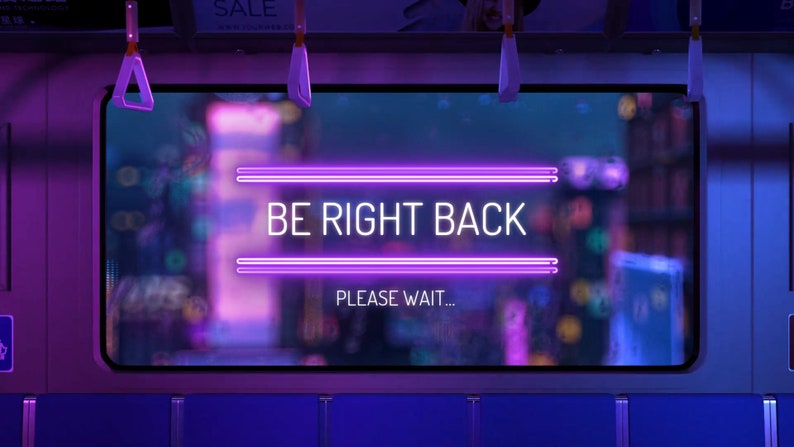 Animated Twitch Overlay Neon Night City Skylight Stream Pack | Loading ...