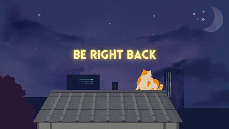 Animated Twitch Overlay Japan Tokyo Night City Rooftop Skylight Stream ...