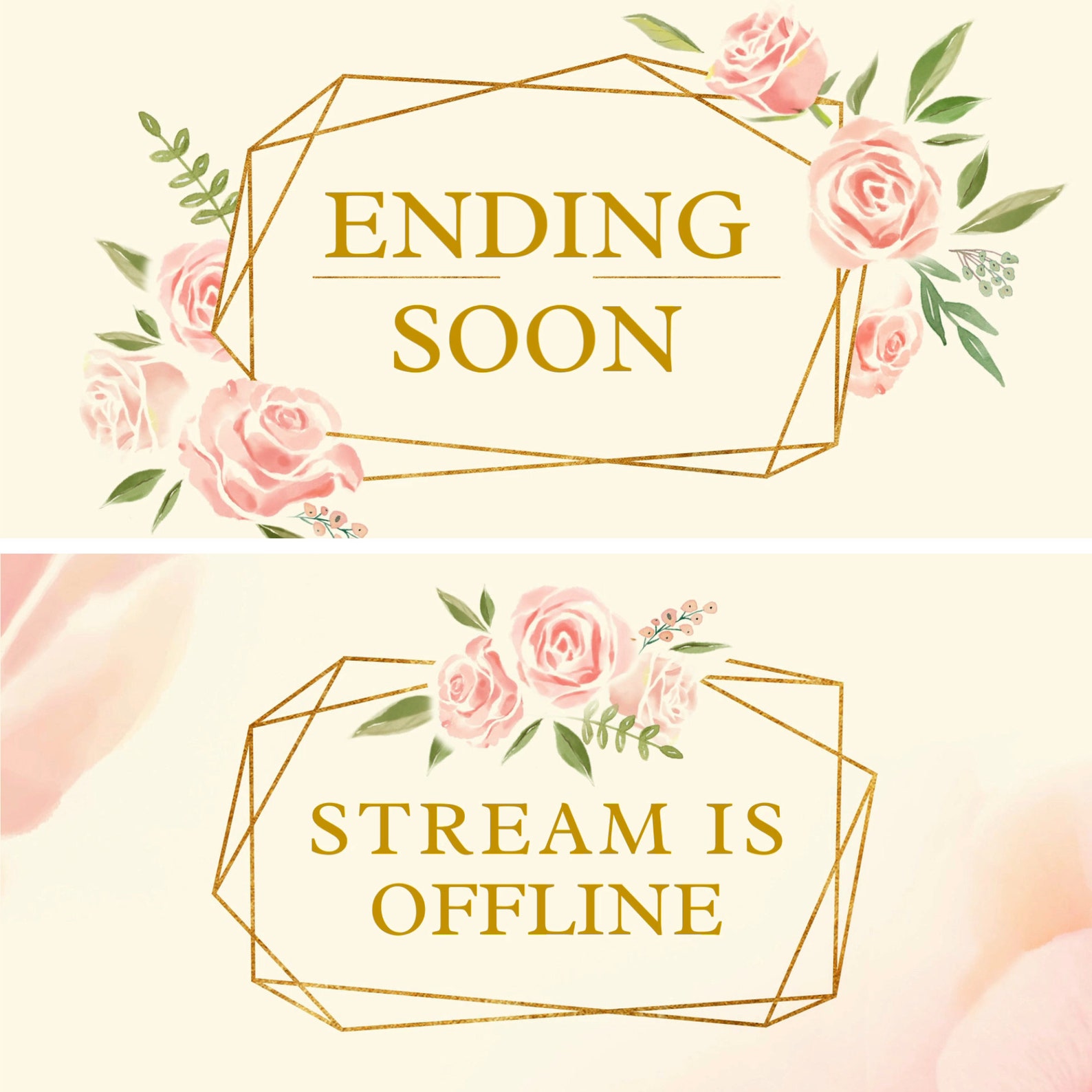 Animated Twitch Overlay Watercolor Rose & Gold Floral Stream - Etsy