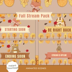 Animated Cute Twitch Overlay Cozy Autumn Fall Vibe Stream Pack Bundle ...