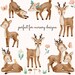 Cute Deer Watercolor Clipart, Woodland Animals, Baby Shower, Nursery ...