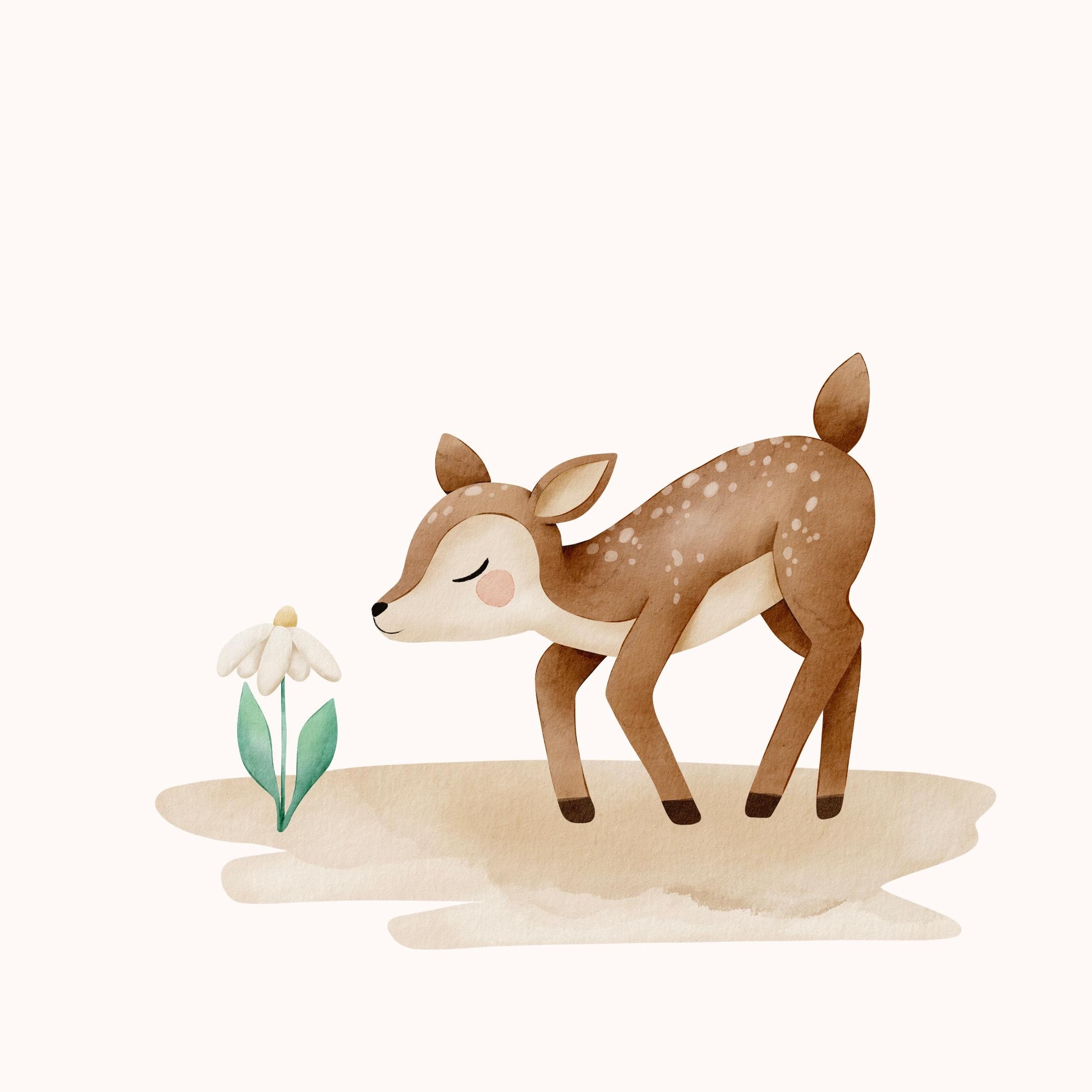 Cute Deer Watercolor Clipart, Woodland Animals, Baby Shower, Nursery ...