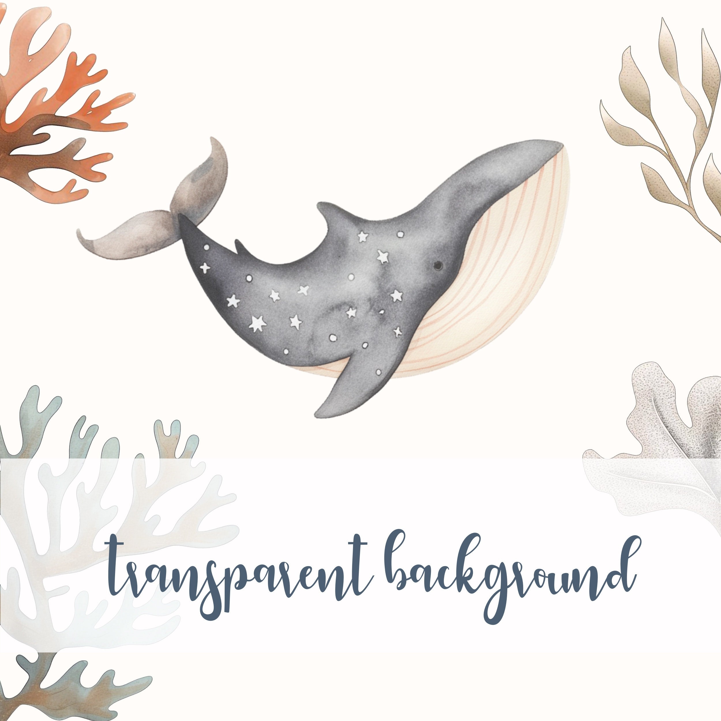 Cute Under the Sea Clipart and Seamless Patterns Bundle. the Whale ...