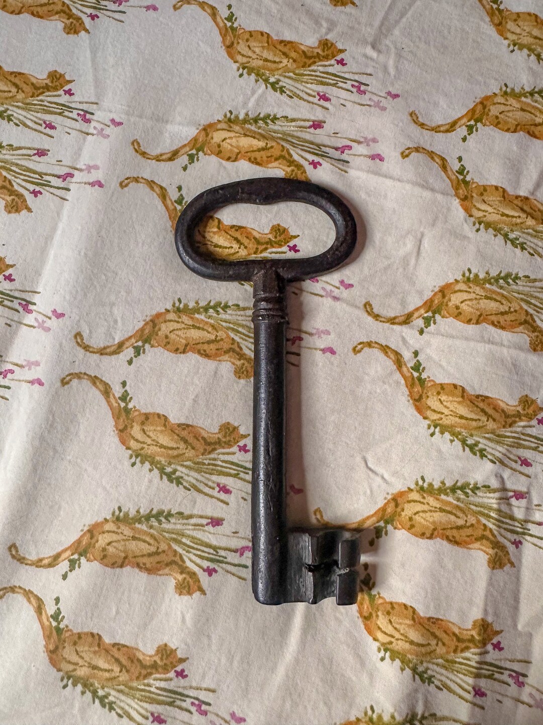 1890s Cast Iron Skeleton Gate Key - Etsy