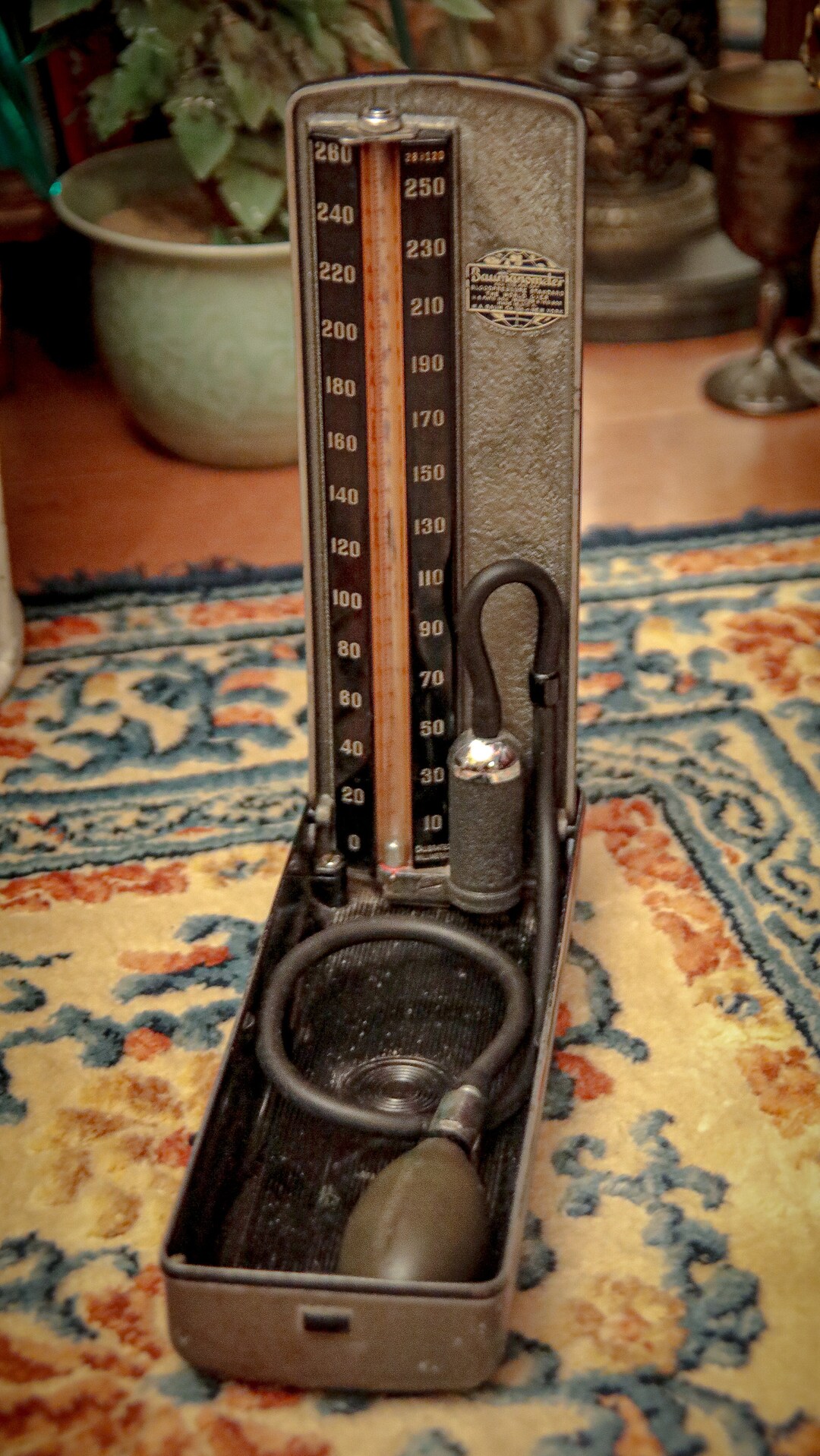 Baumanometer Model 300 Compact Blood Pressure Gauge, Foldable Case, and ...