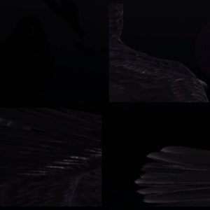 Purple ANIMATED PACKAGE Crow Overlay Starting BRB - Etsy