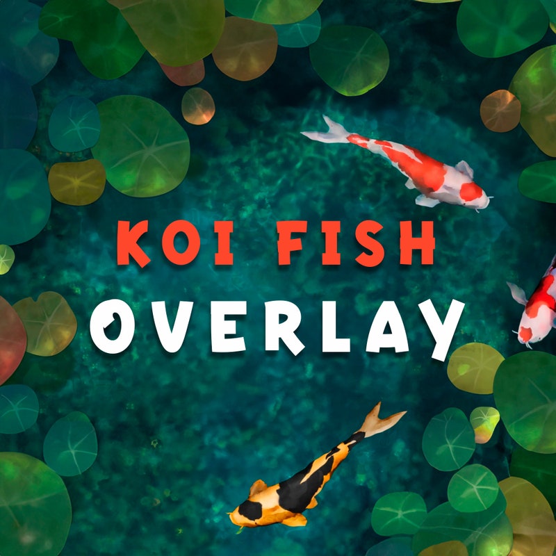 Koi Fish Animated Alert - Etsy