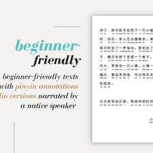 Mandarin for Beginners: Letters to Anna - Etsy
