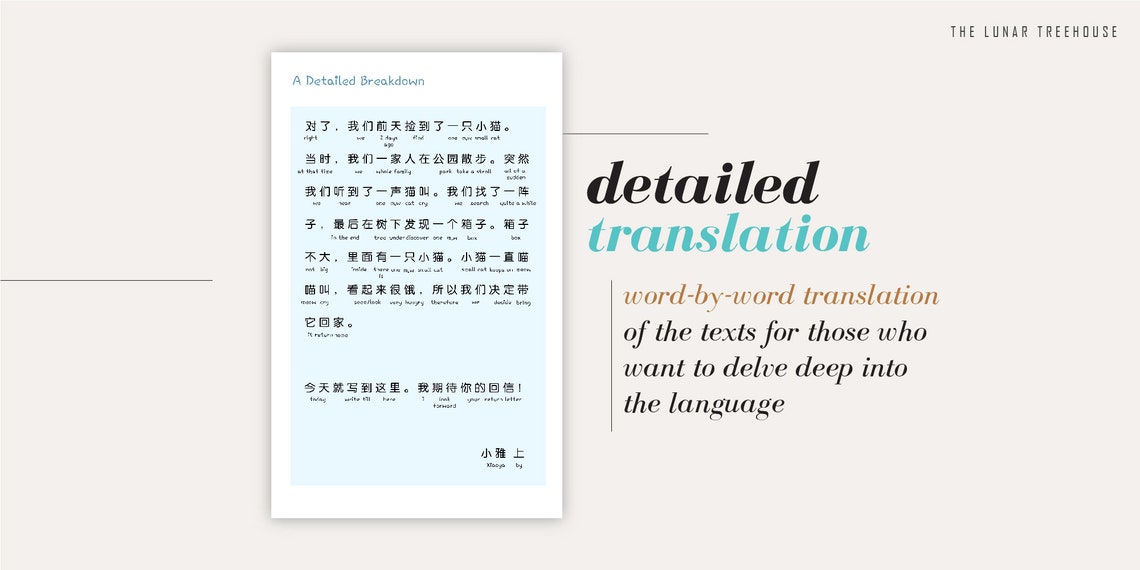 Mandarin for Beginners: Letters to Anna - Etsy