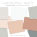 Gray and Peach Paint Color Sample Kit for the Home - Professional ...