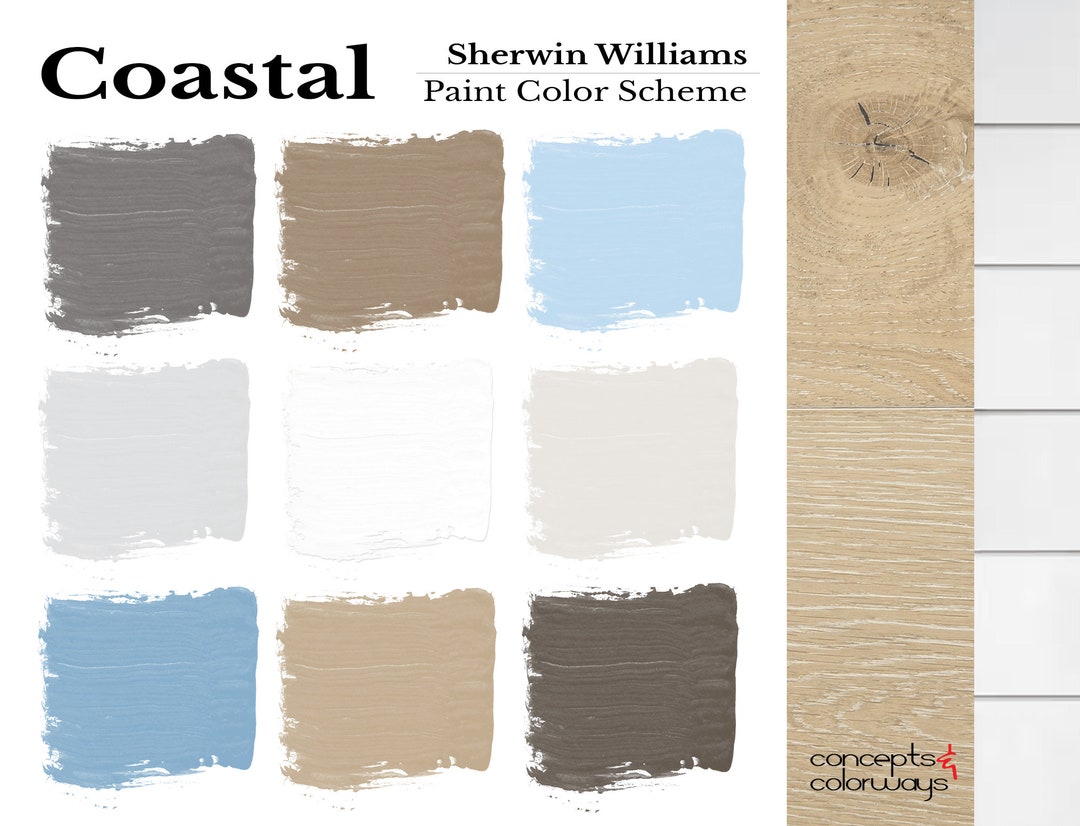 Sky Blue and Light Tan Coastal Color Palette That Coordinates With ...