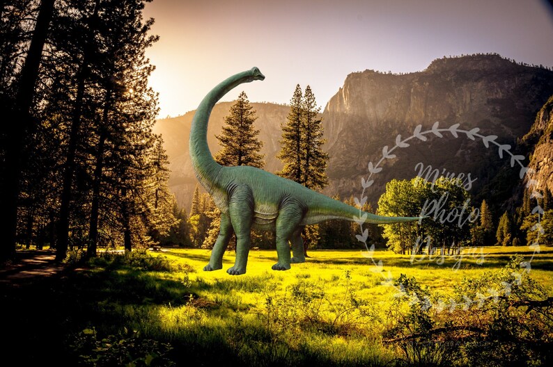 Dinosaur Digital Backdrop Photography Photoshop Background Download - Etsy