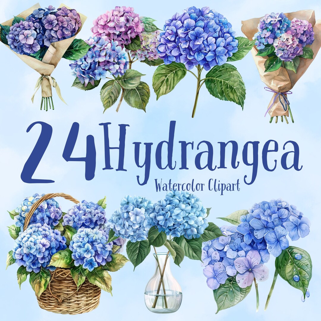Watercolor Hydrangea Clipart: Blue & Purple Flower Bundle (PNG Digital ...