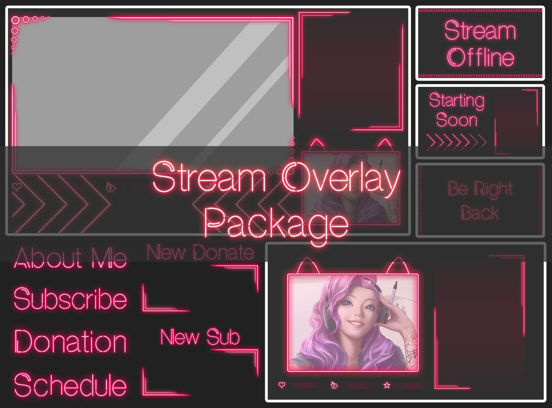Stream Overlay Package - Animated Pink Neon - Etsy