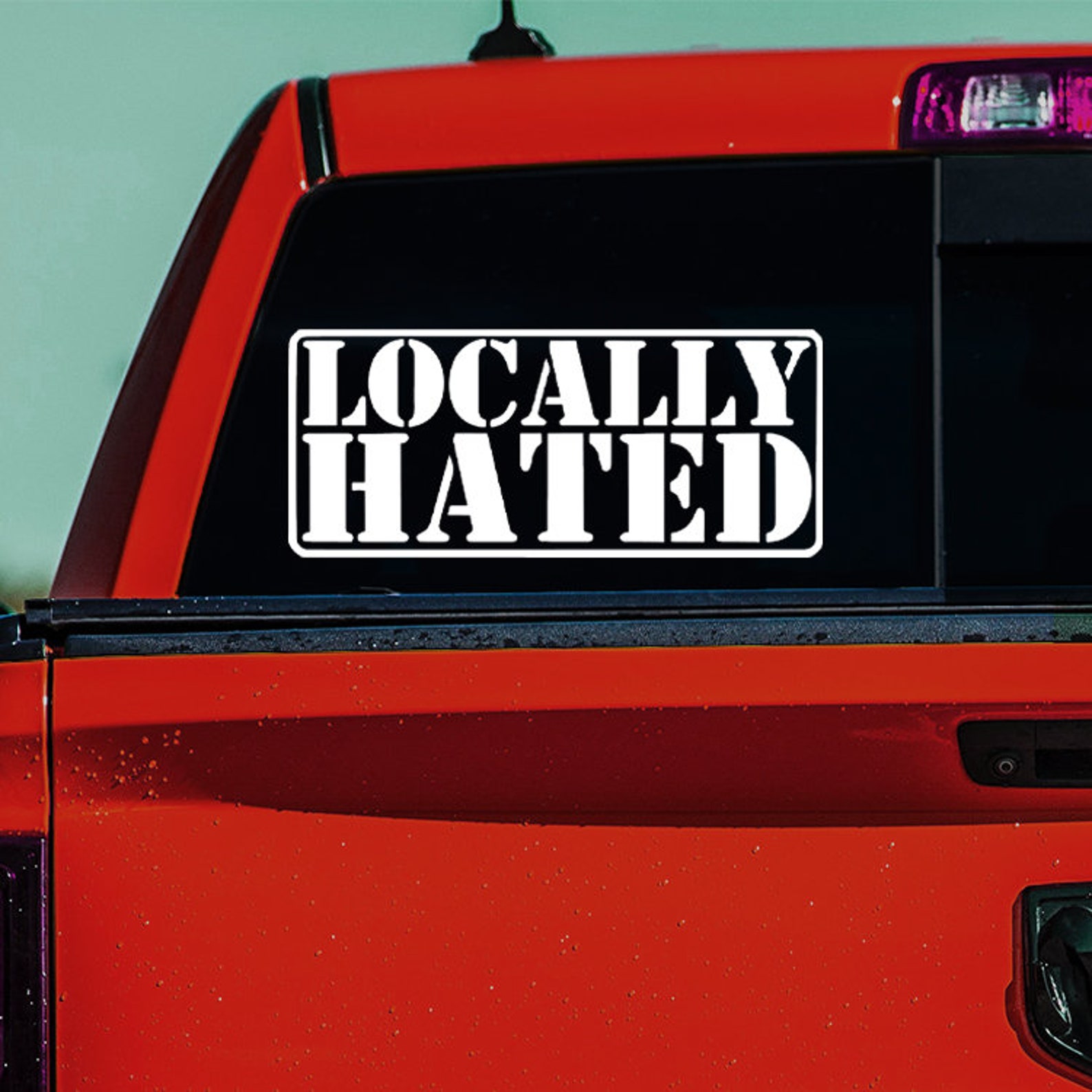 LOCALLY HATED Vinyl Decal Banner JDM Street Racing Turbo - Etsy