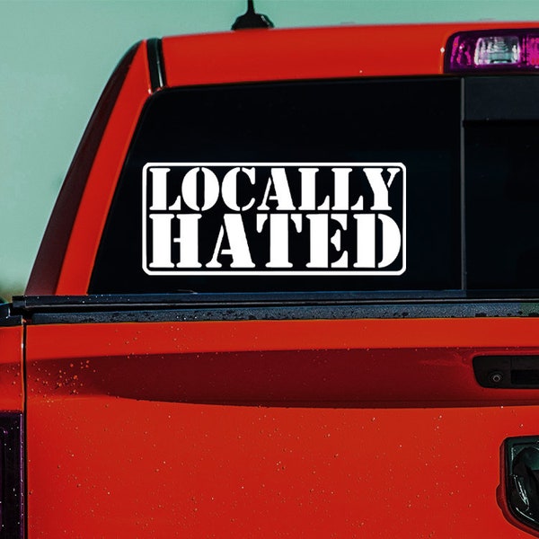 Car Window Decals Funny - Etsy