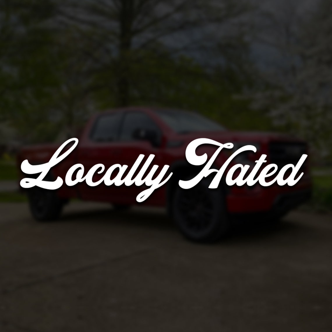LOCALLY HATED Text Vinyl Decal Banner Oil Slick JDM Street - Etsy