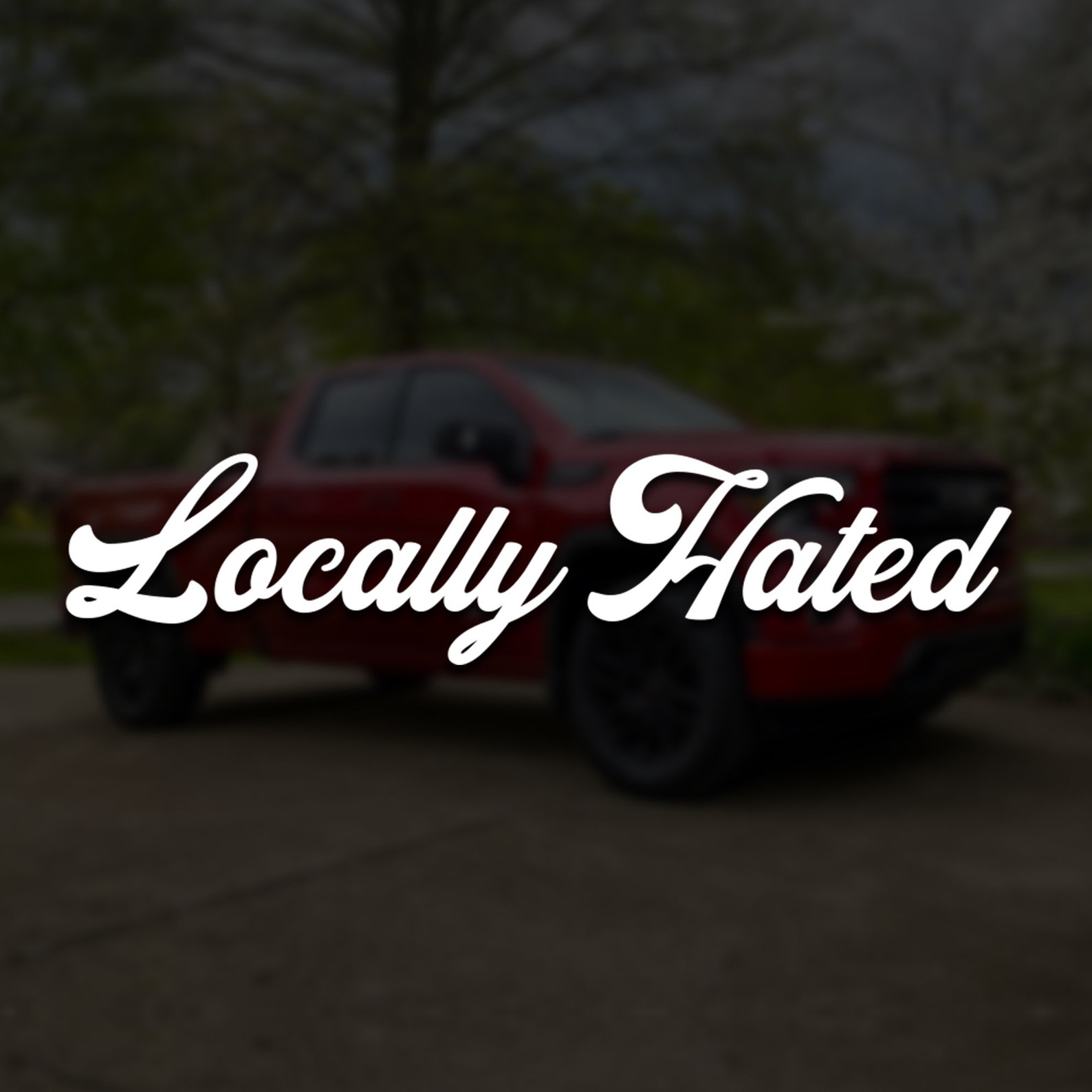 LOCALLY HATED Text Vinyl Decal Banner Oil Slick JDM Street - Etsy