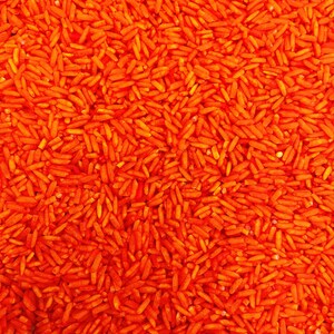 Colored Rice Sensory Rice Filler - Etsy