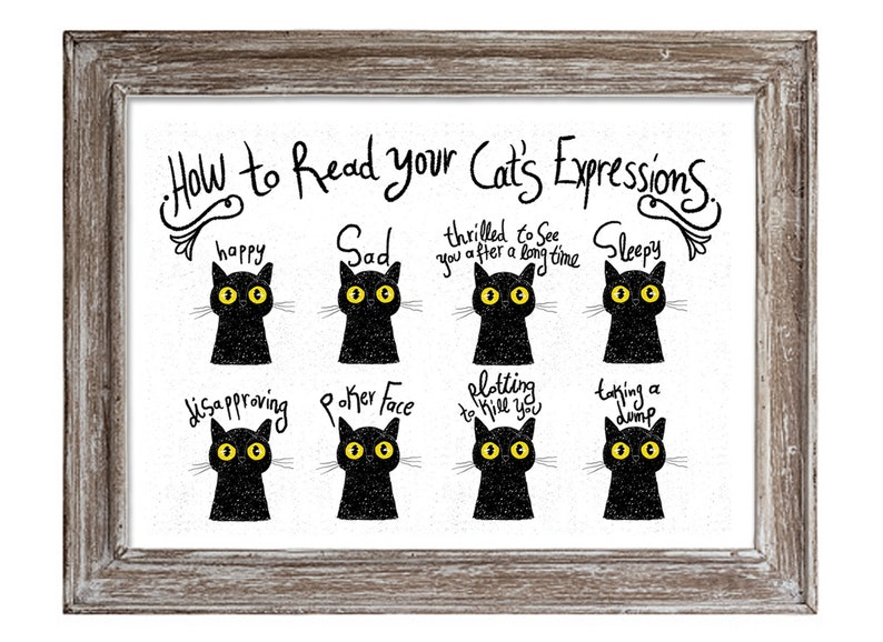 How to Read Your Cat's Expressions Signed Art Print Guide Black ...