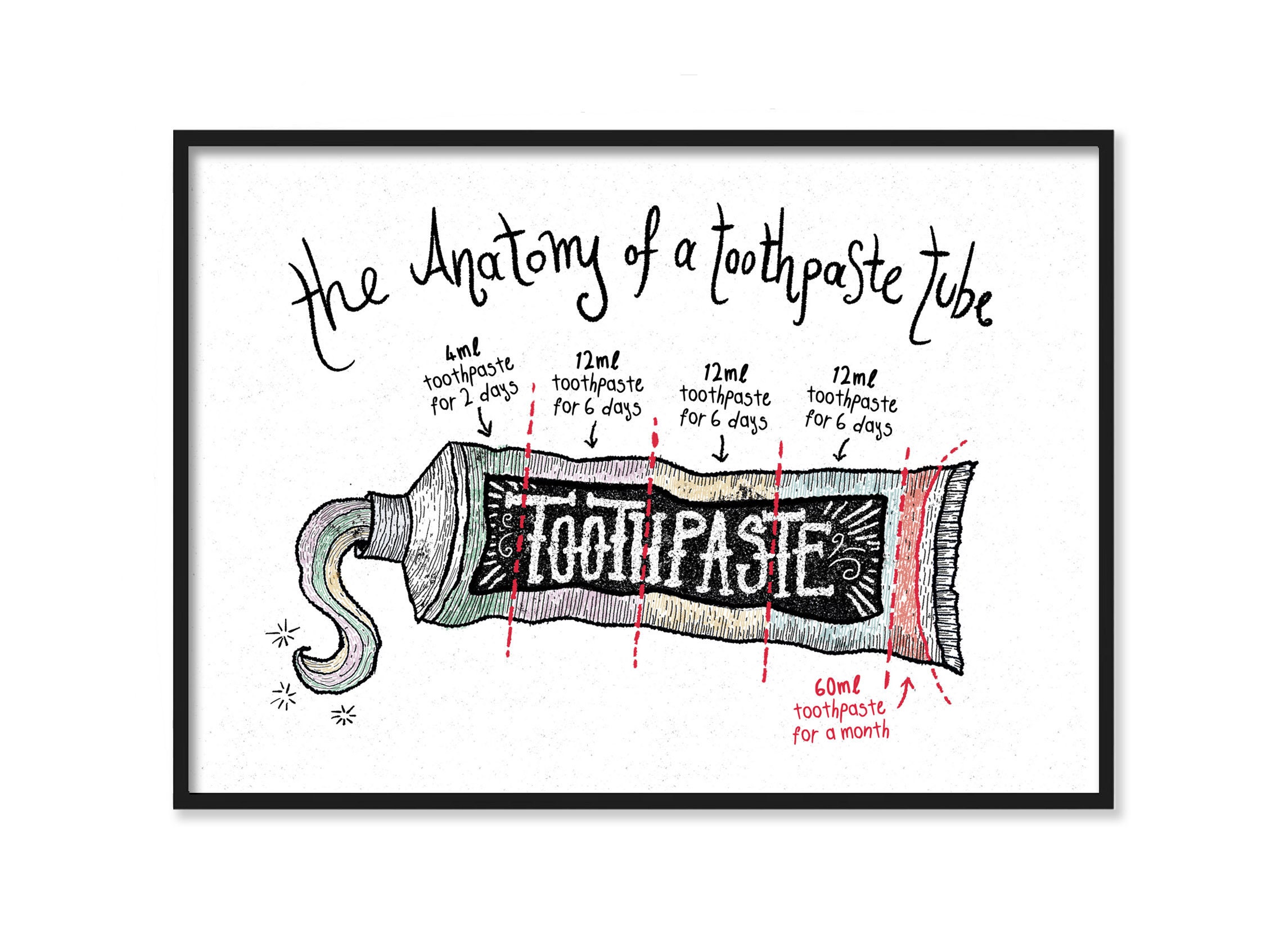 The Anatomy of a Toothpaste Tube Art Print Toiletries Bathroom Wallart ...