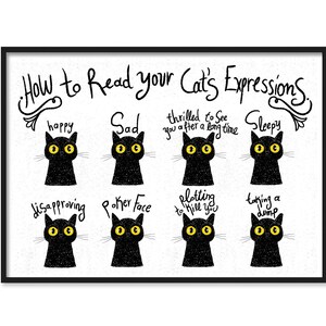 How to Read Your Cat's Expressions Signed Art Print Guide Black ...