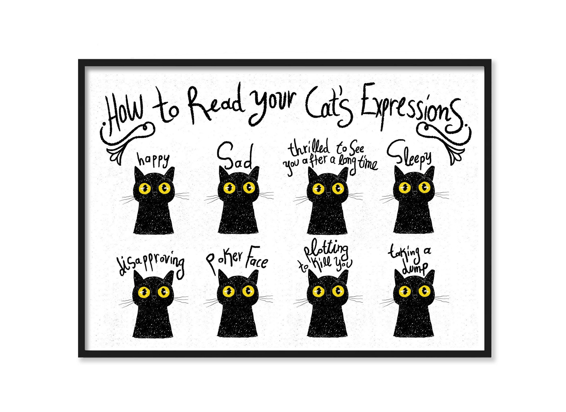How to Read Your Cat's Expressions Signed Art Print Guide Black ...
