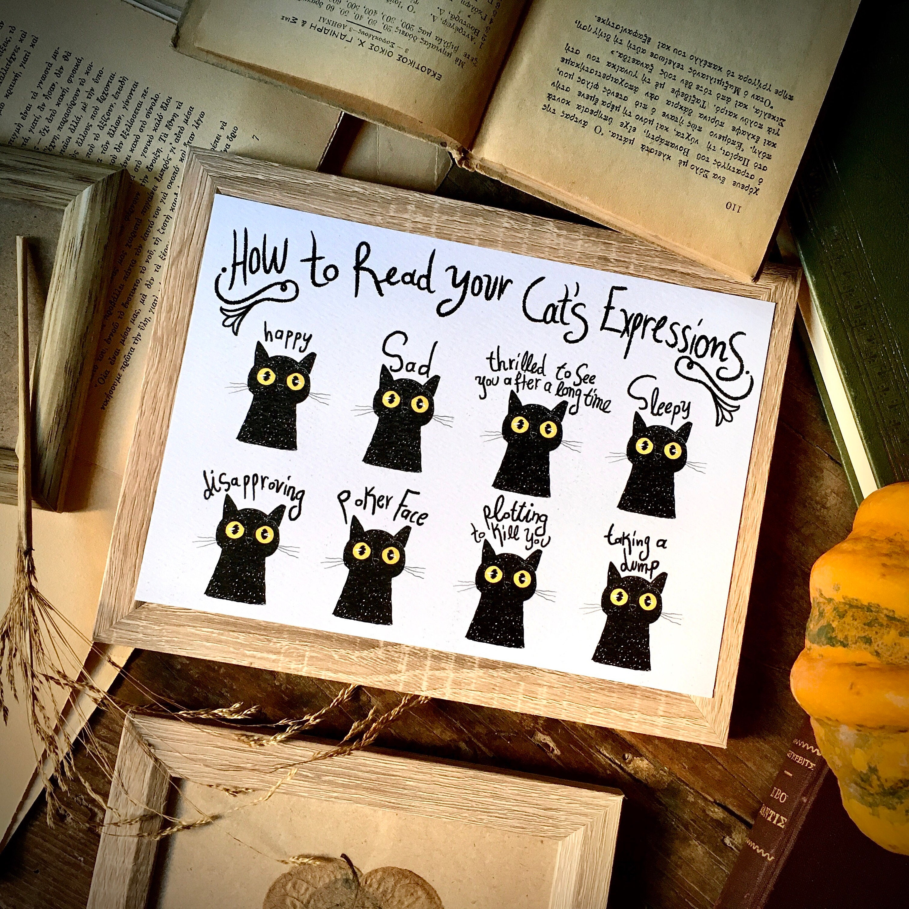How to Read Your Cat's Expressions Signed Art Print Guide - Etsy
