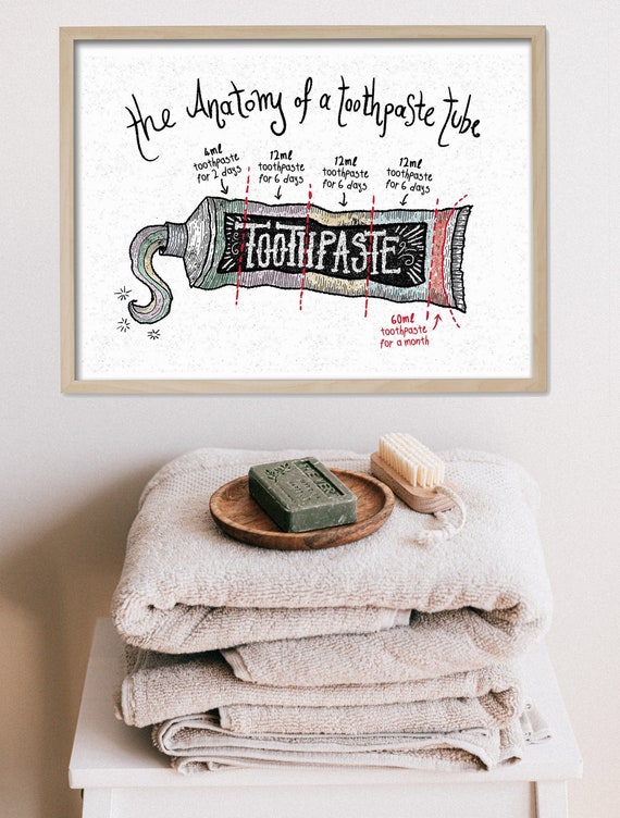 The Anatomy of a Toothpaste Tube Art Print Toiletries Bathroom | Etsy